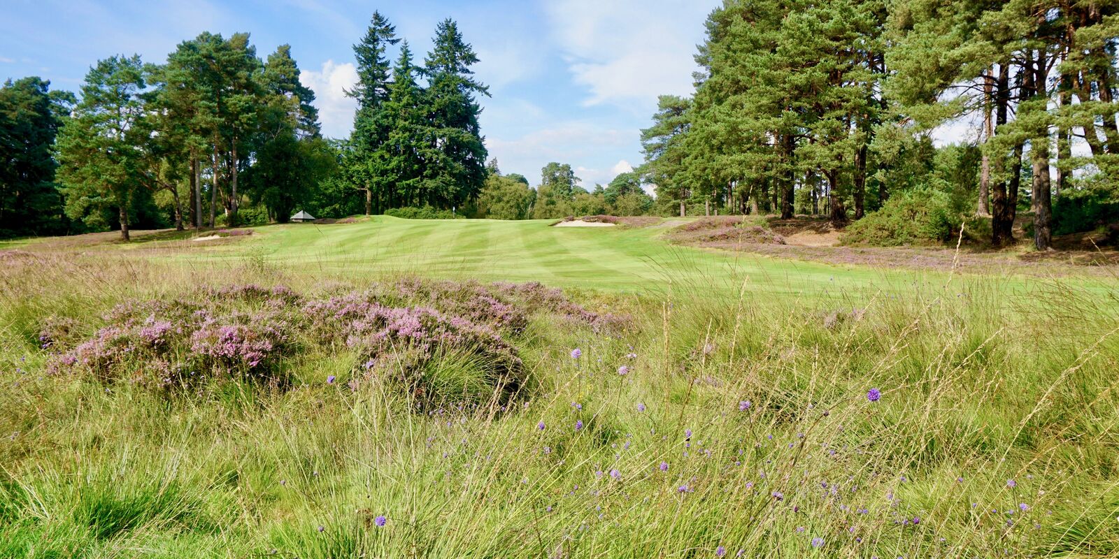 Photo Gallery :: Liphook is a traditional golf club with one of the ...