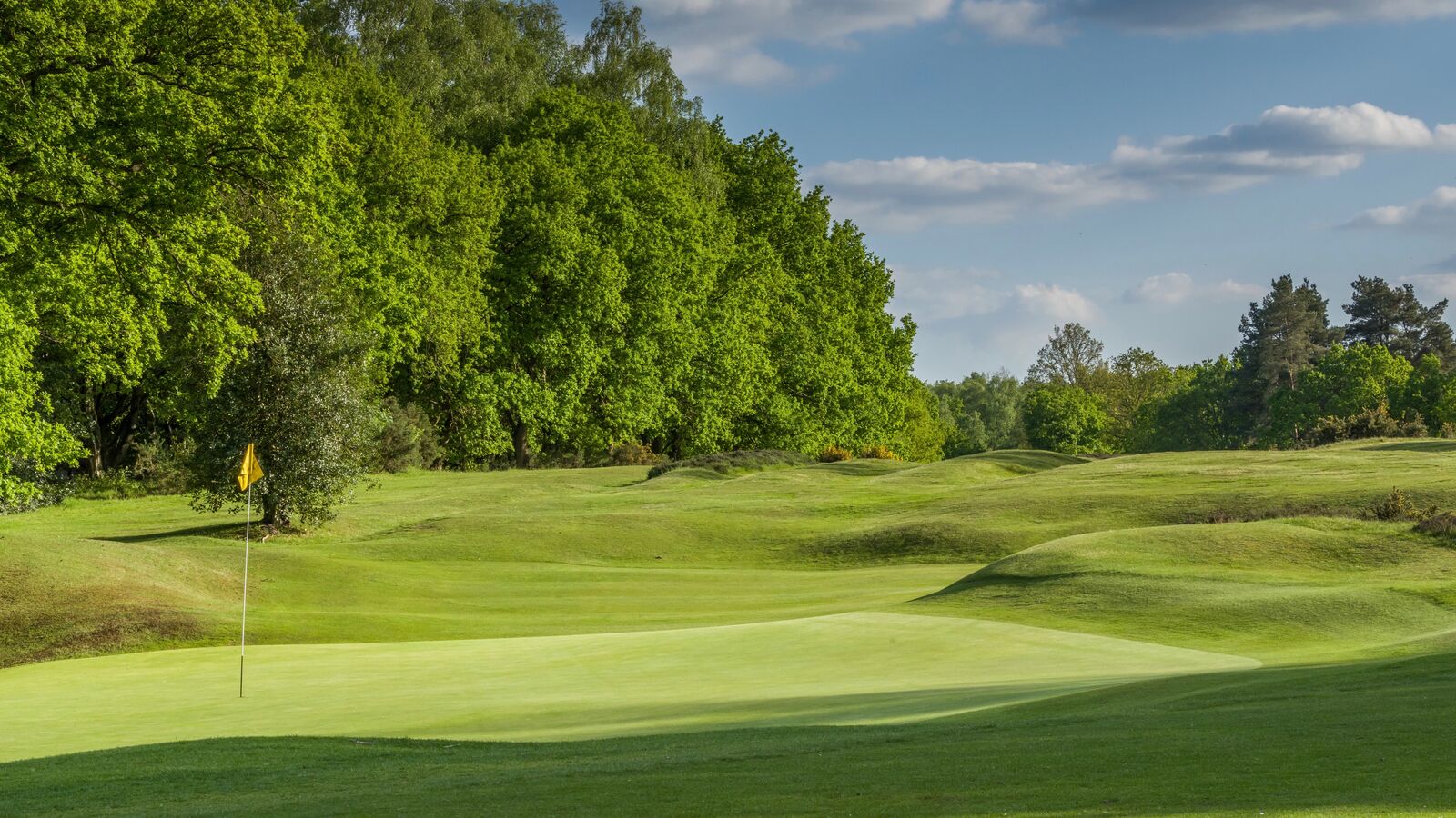 9 :: Liphook is a traditional golf club with one of the best courses in ...