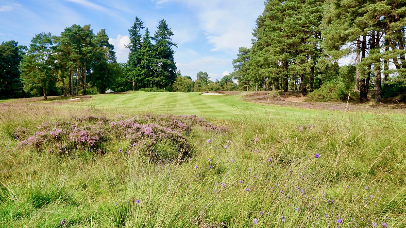 13 :: Liphook is a traditional golf club with one of the best courses ...