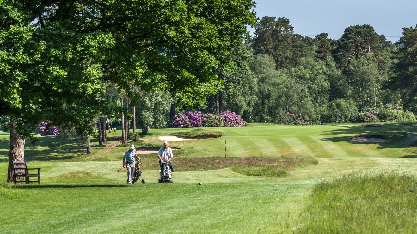 13 :: Liphook is a traditional golf club with one of the best courses ...