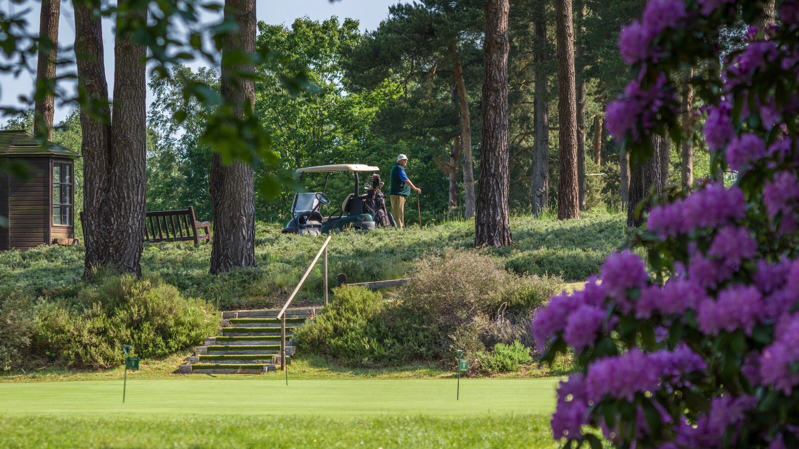 1 :: Liphook is a traditional golf club with one of the best courses in ...